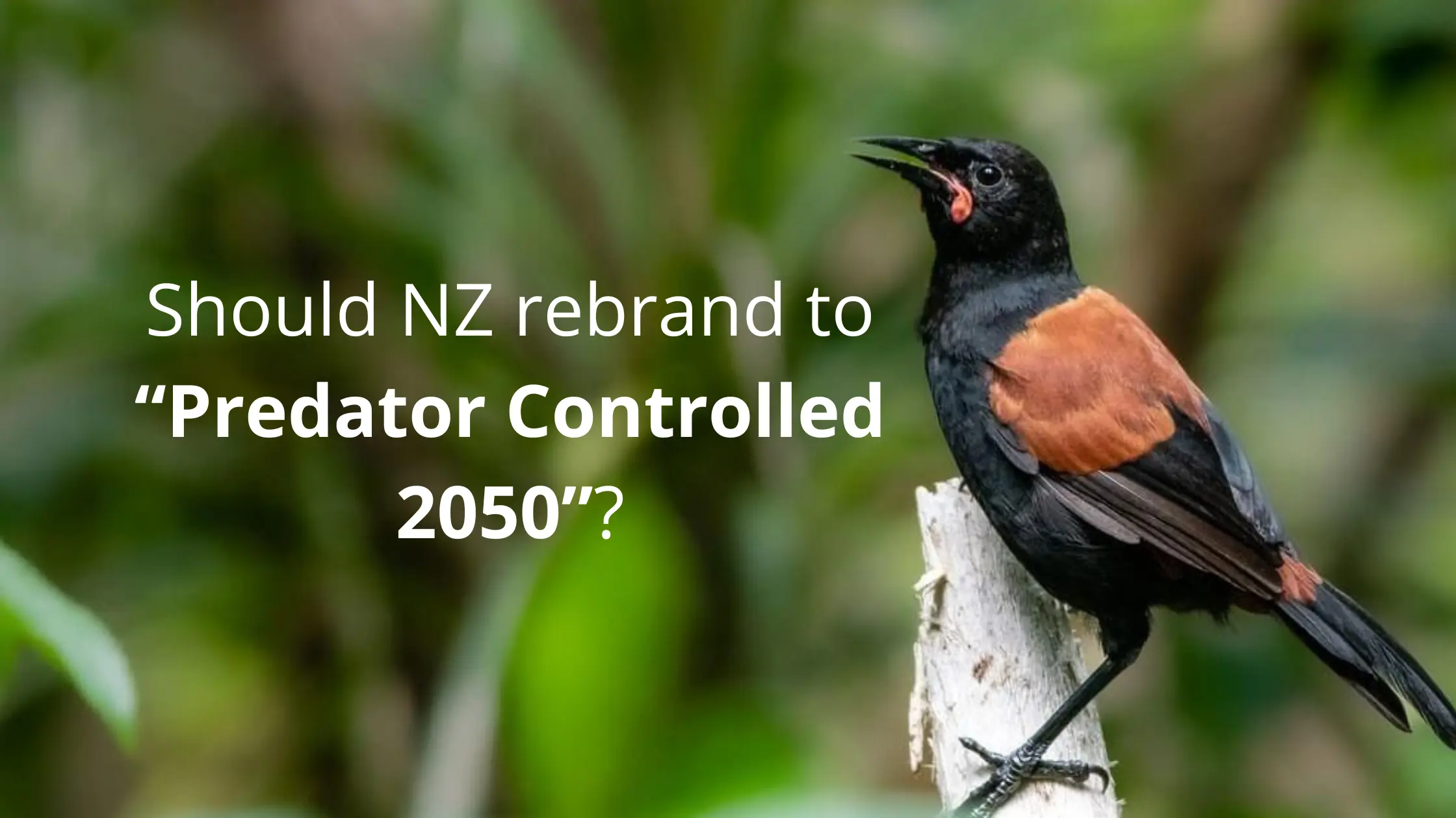 Predator Free by 2050: Myth, Fact, or Something in Between? - Pest Free ...